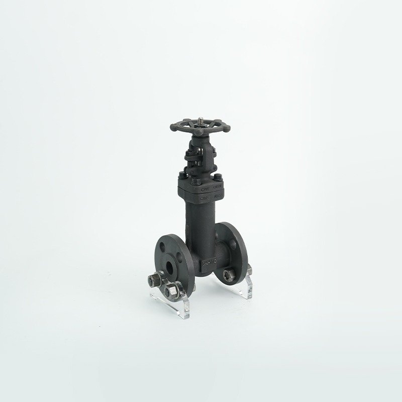 Forged steel bellow seal globe valve - AFBV