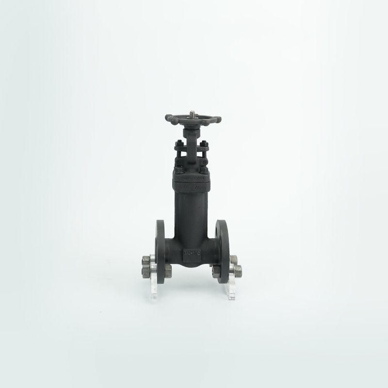Forged steel bellows globe valves AFBV industrial valves